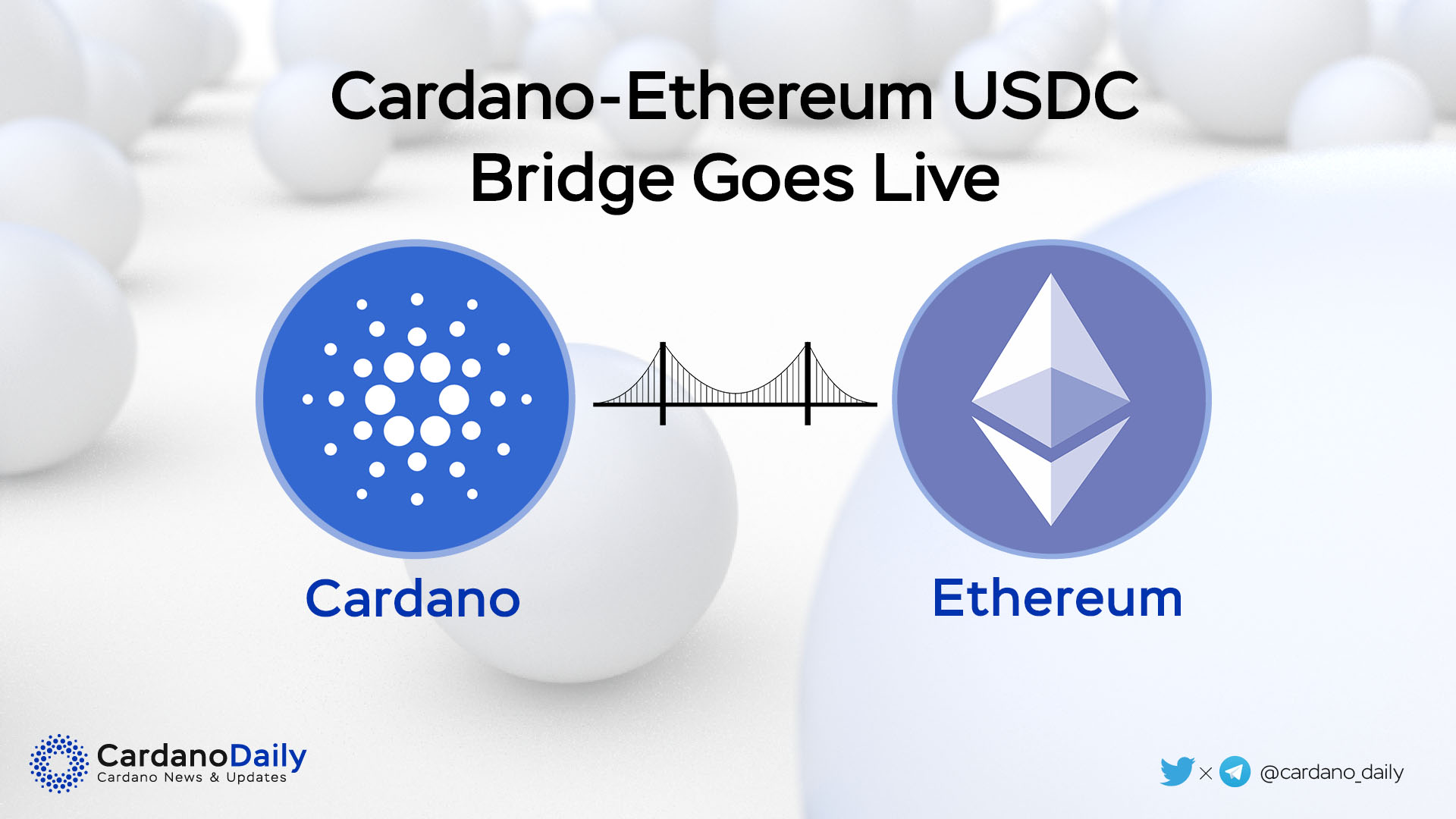 Cardano Daily (@cardano_daily) / Twitter