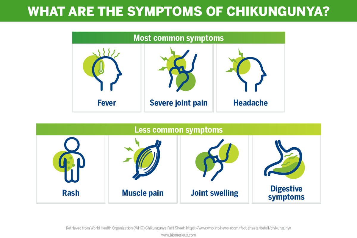 Chikungunya Symptoms