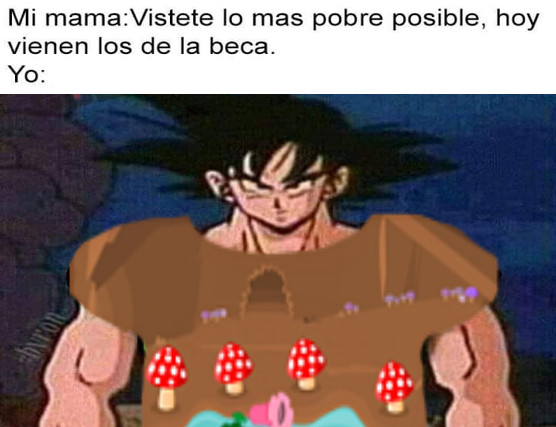 La Beca Memes