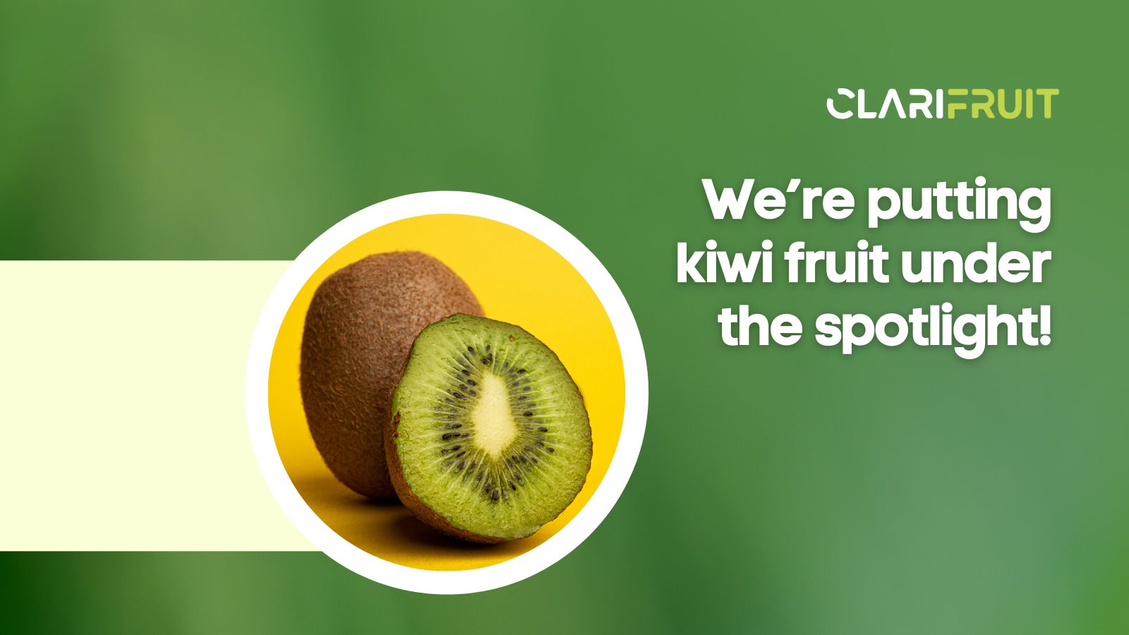 Kiwi Fruit Quotes InfoSpark: Discover The Kiwi Fruit's Fascinating
