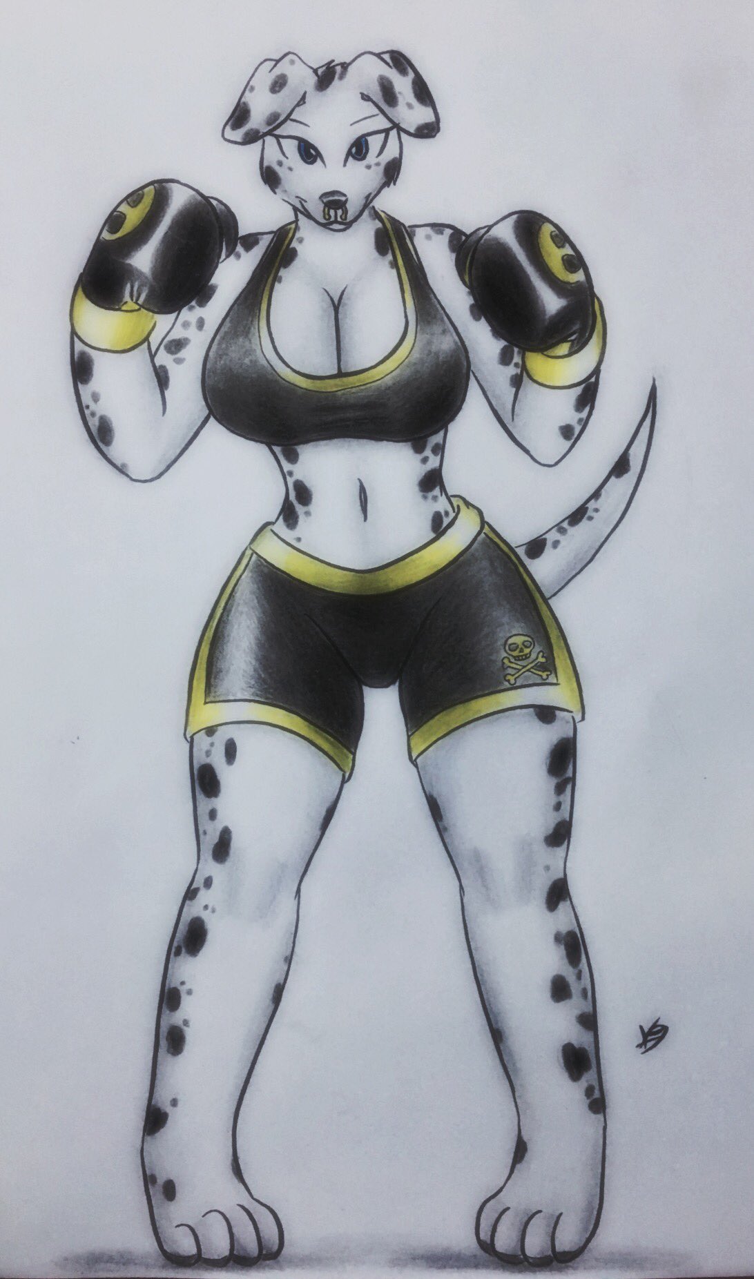 The K9 Empire - (COMMISSIONS OPEN) on Twitter: "Female Dalmatian boxer looking for a sparring ...