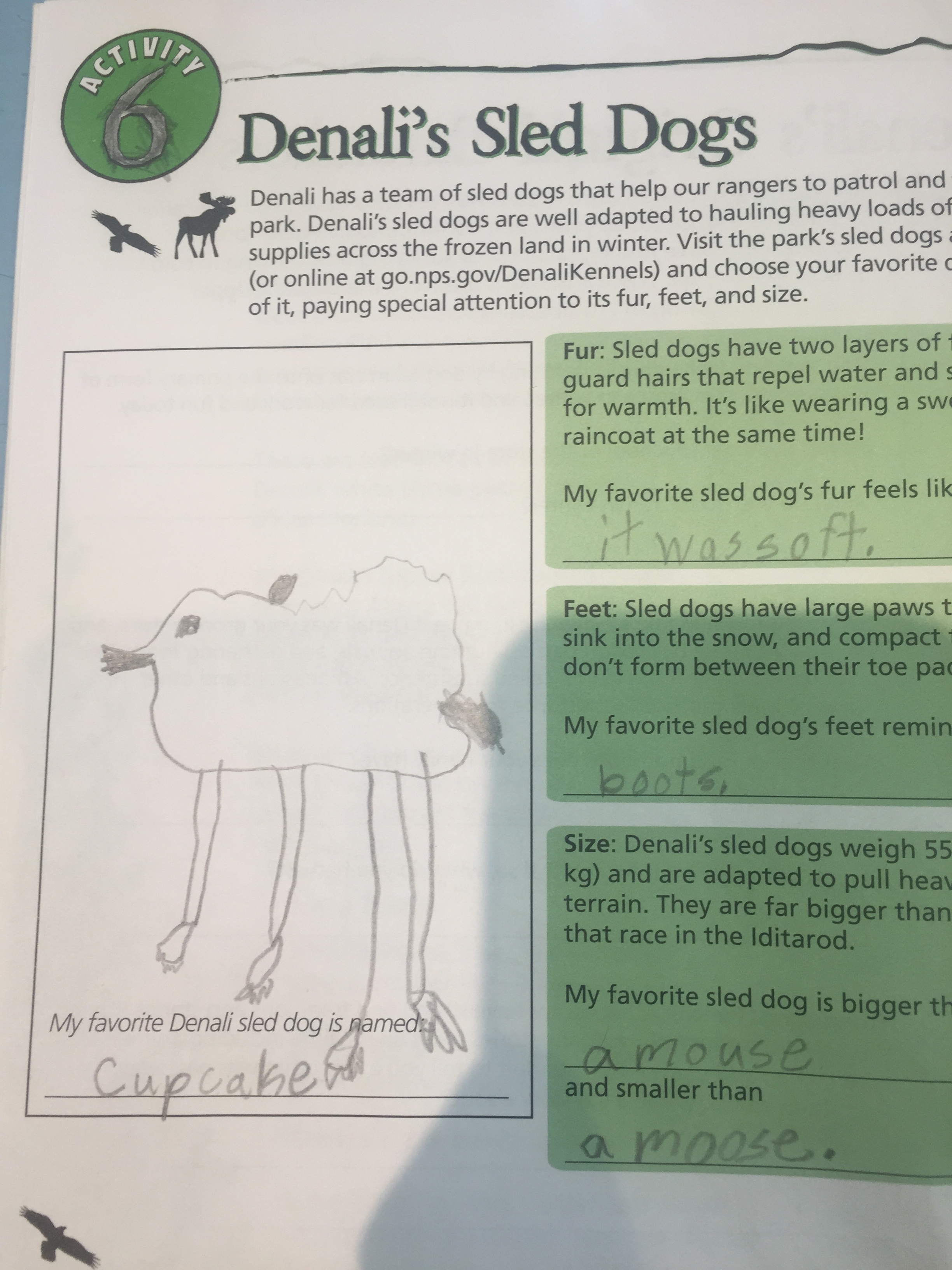 Denali National Park (@DenaliNPS) / Twitter