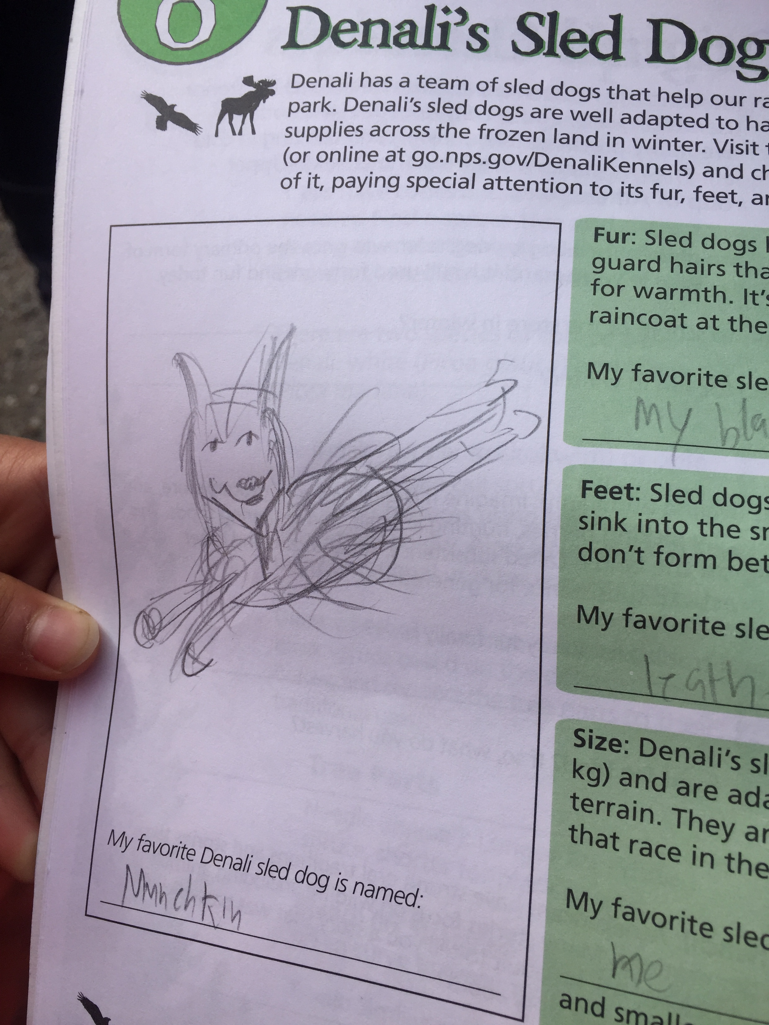 Denali National Park (@DenaliNPS) / Twitter