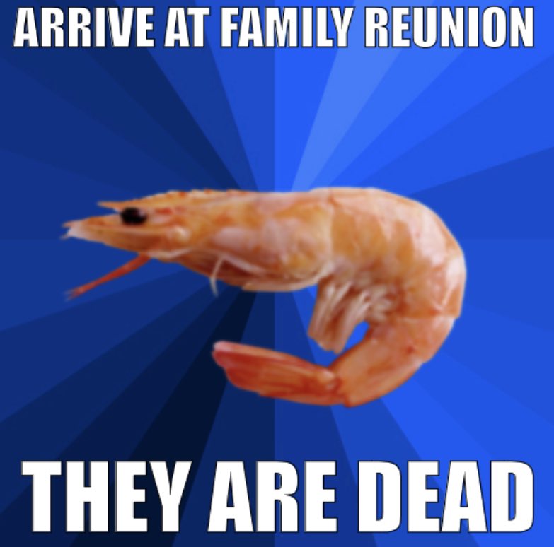 Shrimp Meme