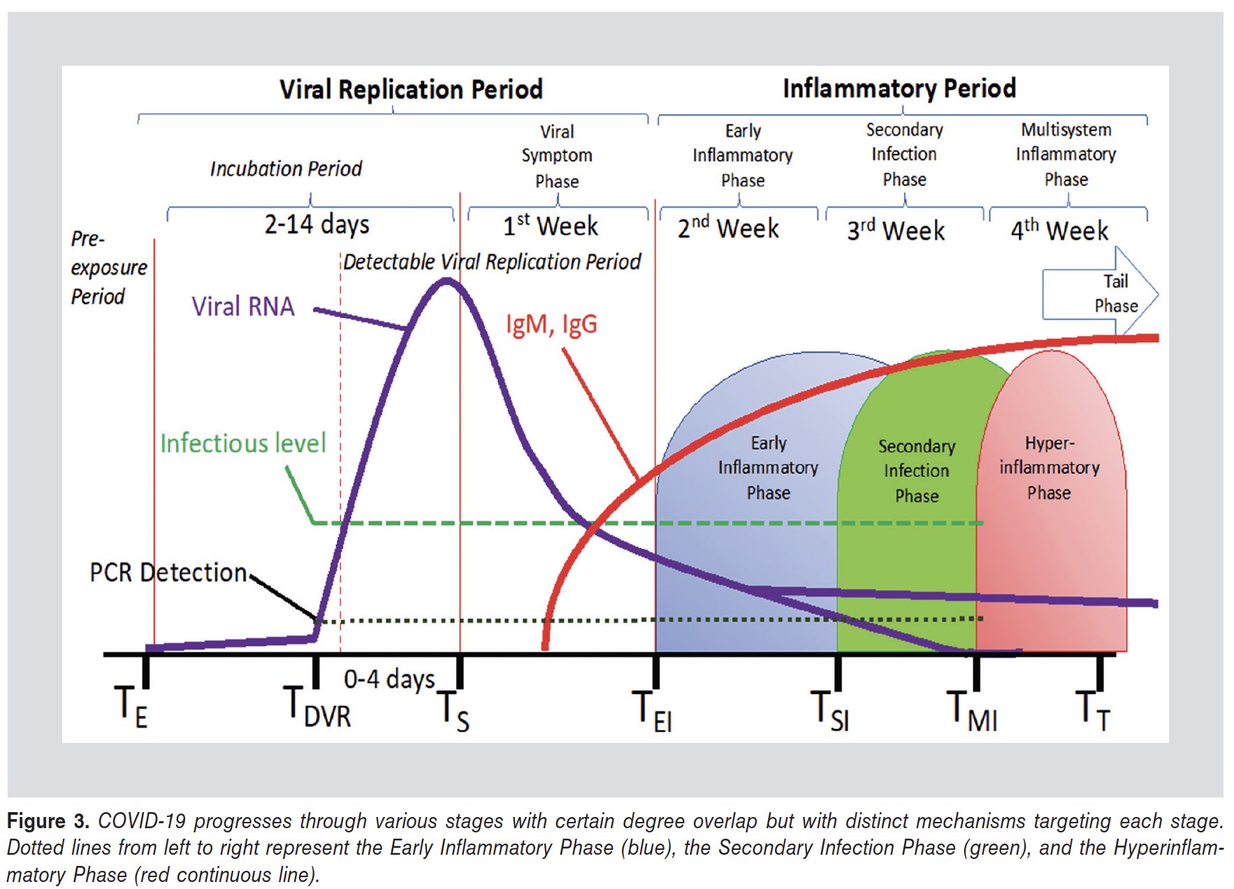 Stages Of Disease Graph