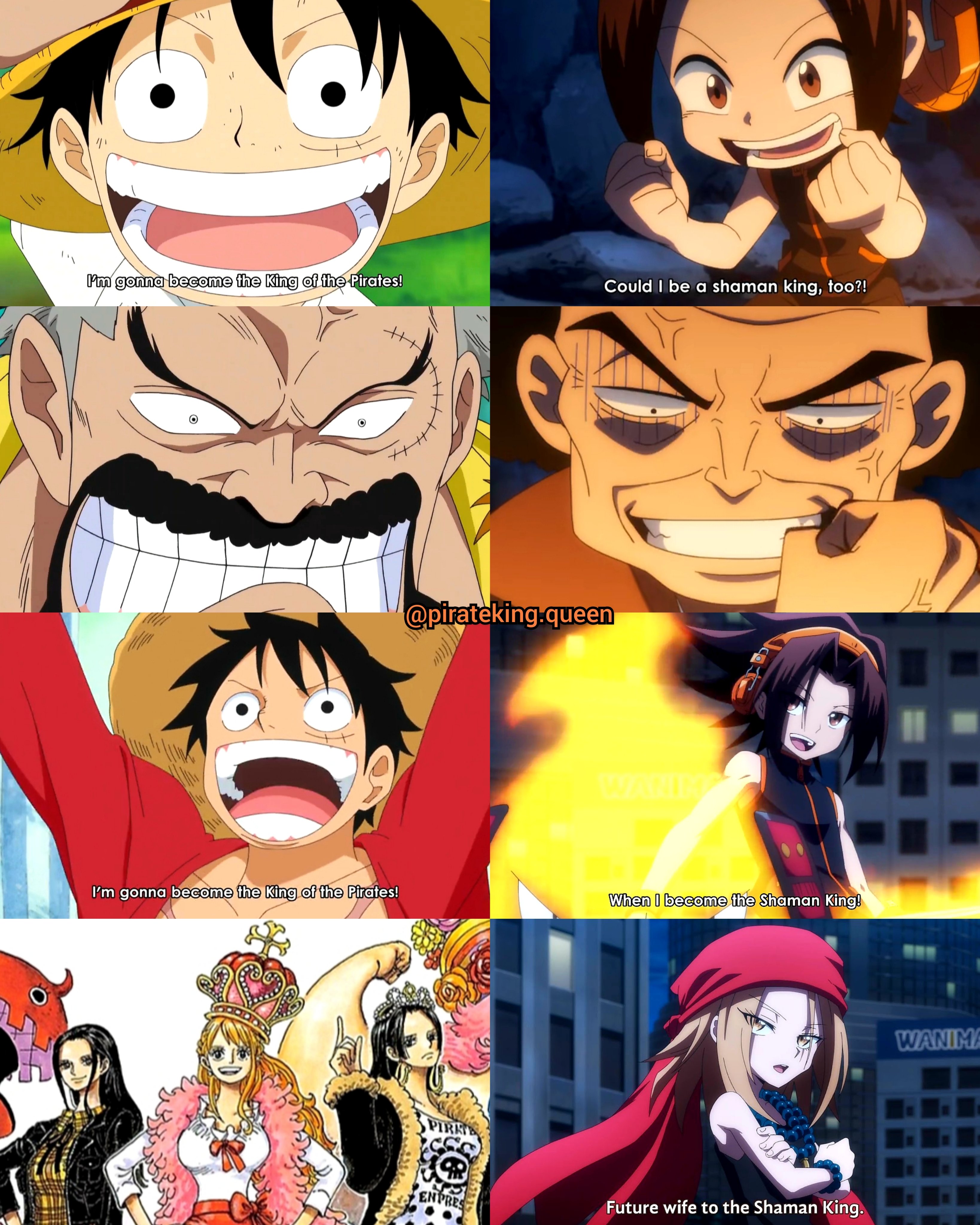 One Piece Pirate King
