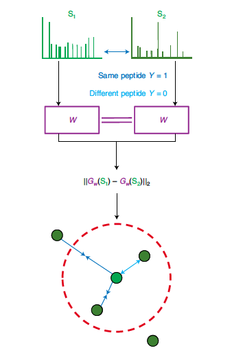 Nature Methods on Twitter: "GLEAMS is a deep learning-based approach for embedding mass spectra ...
