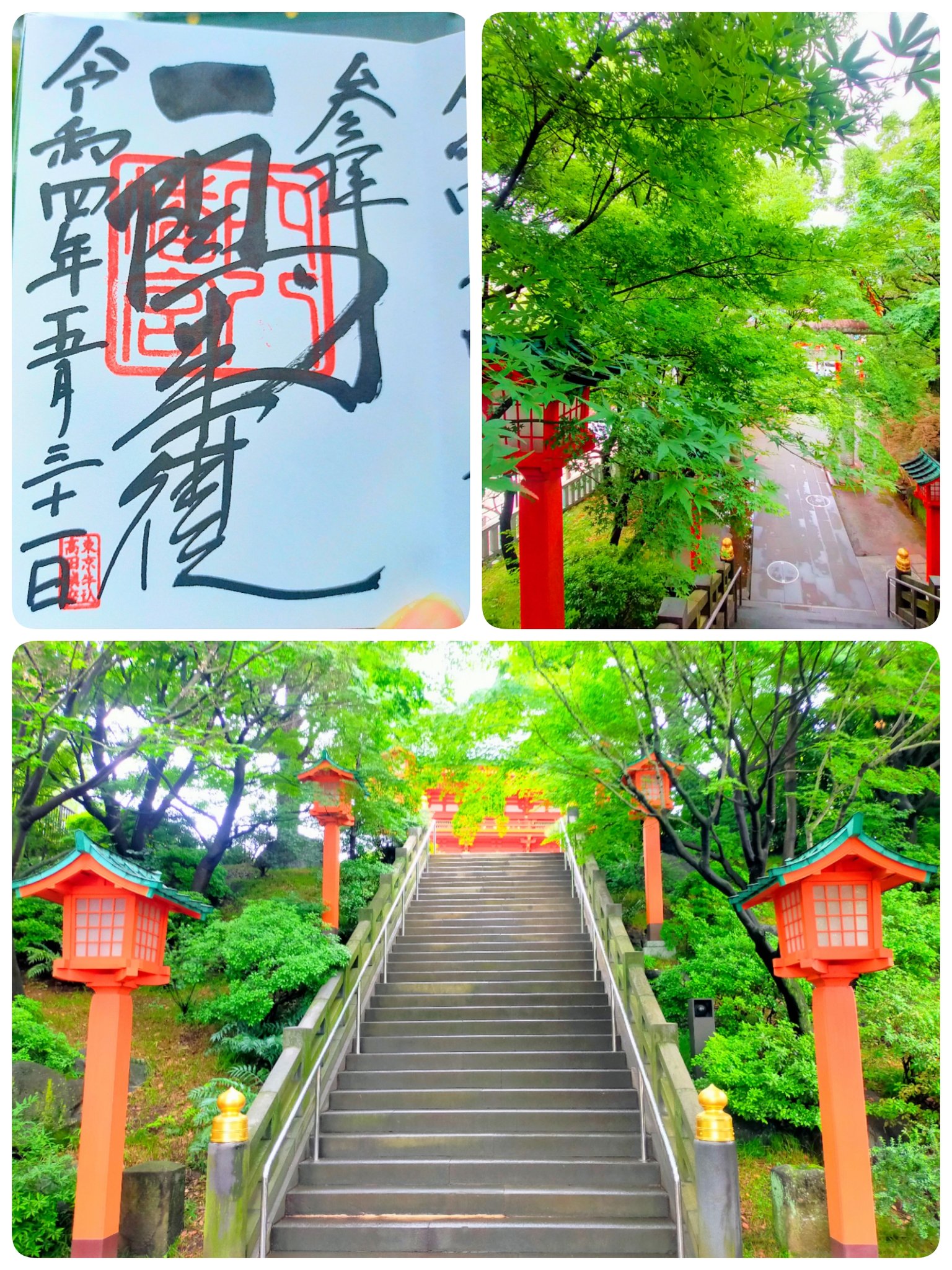 🐰mintblue🐰御朱印巡り@スマホ写真部 on Twitter: "#東京都新宿区 #穴八幡宮 2022/5/31【穴八幡宮】 5月/月詣りのご挨拶参拝⛩️ 雨上がりの新緑が清々しくて ...