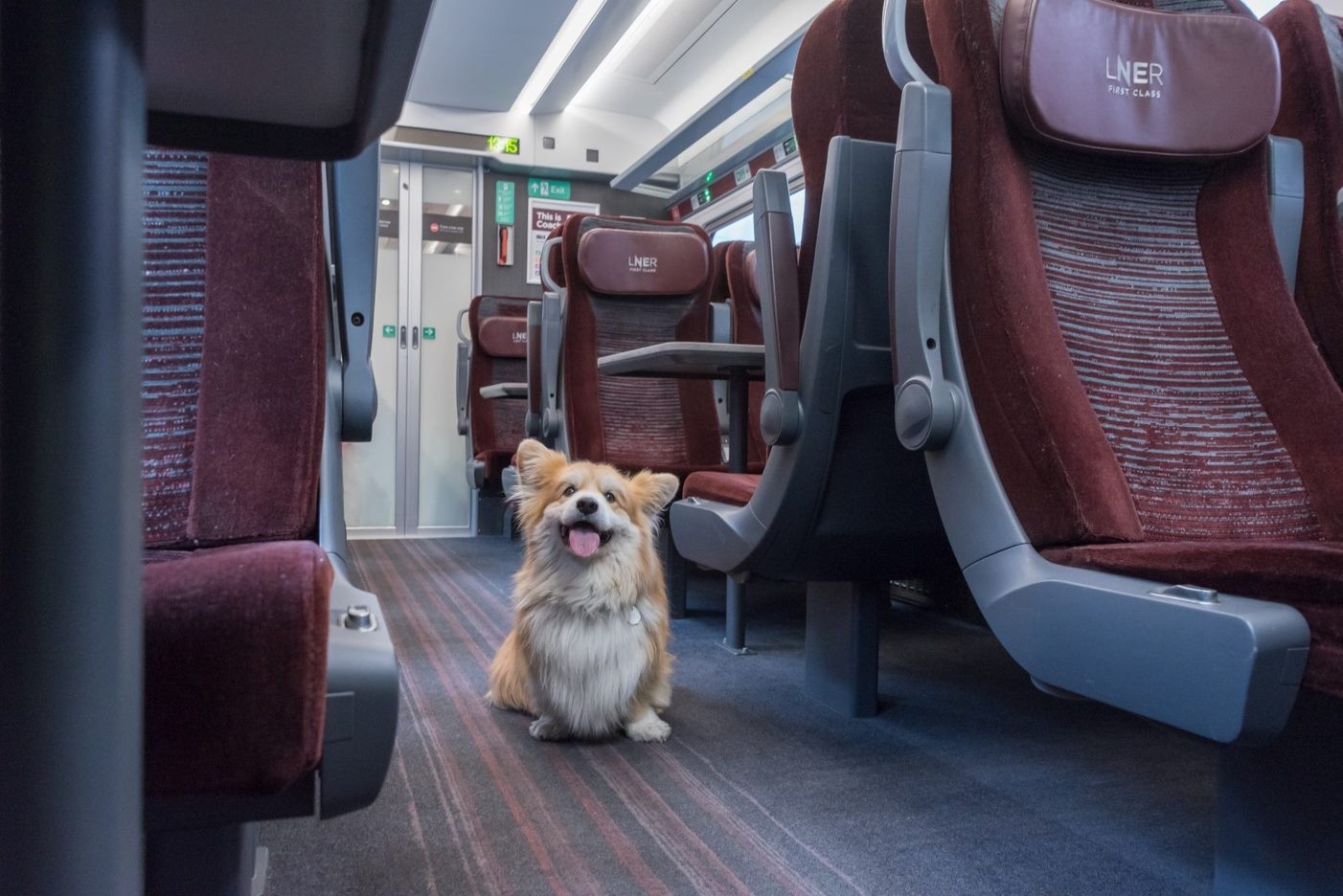 First Class Seating In The New LNER Azuma 800 Class, 60% OFF