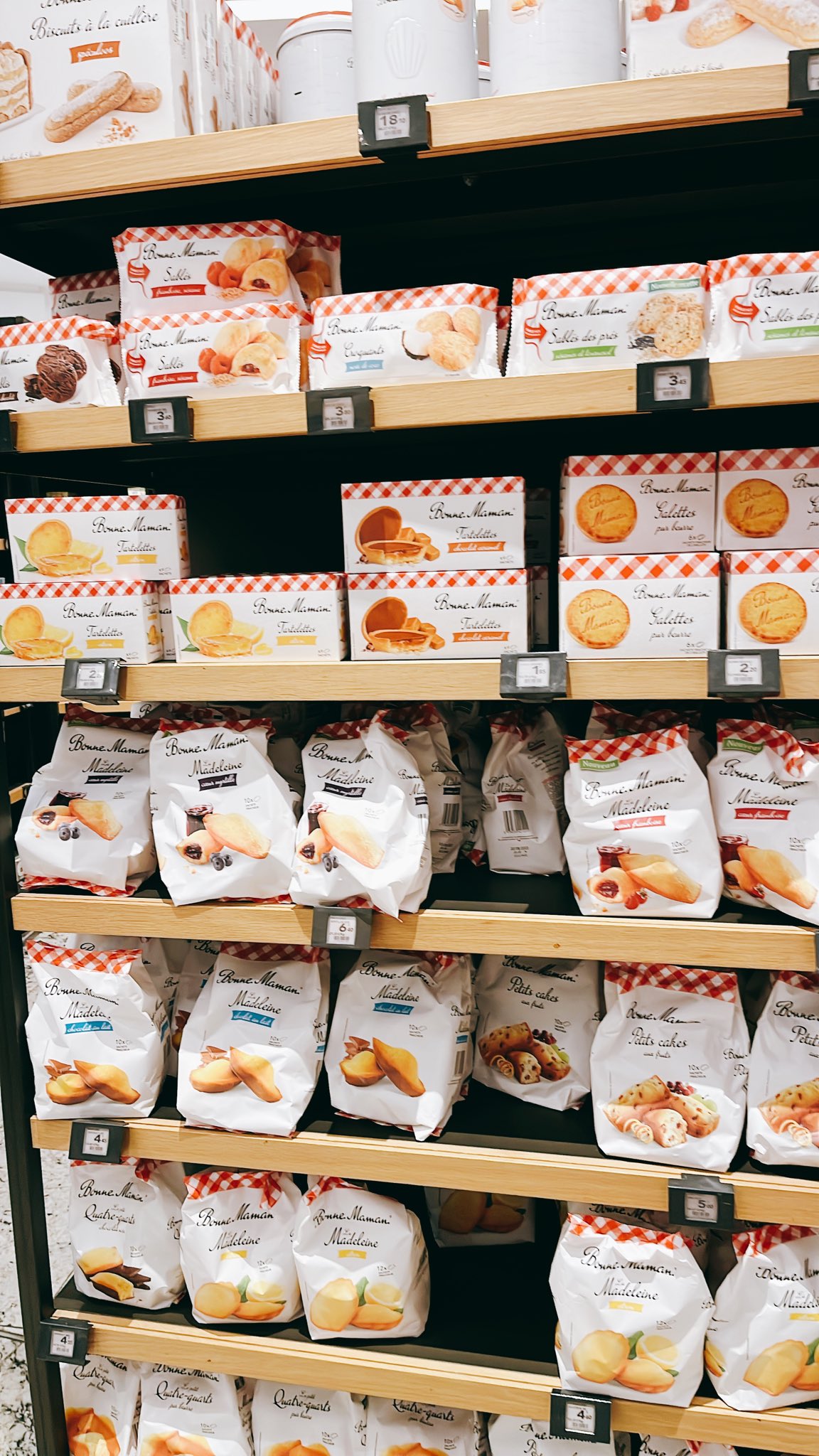 いがらしろみ Romi IGARASHI on Twitter: "気が狂いそうです。誰かサブレ用のスーツケースを！ https://t.co/62MAY7x49e" / Twitter