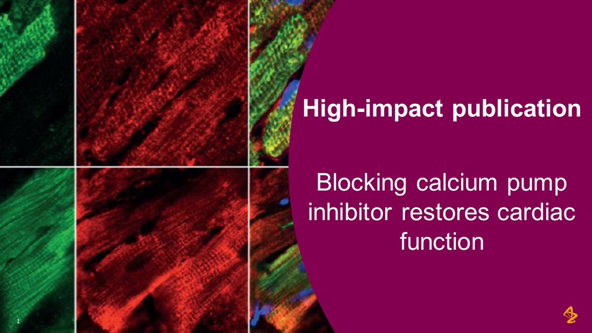 New research in @NatureComms shows how VHH intrabodies improve function ...