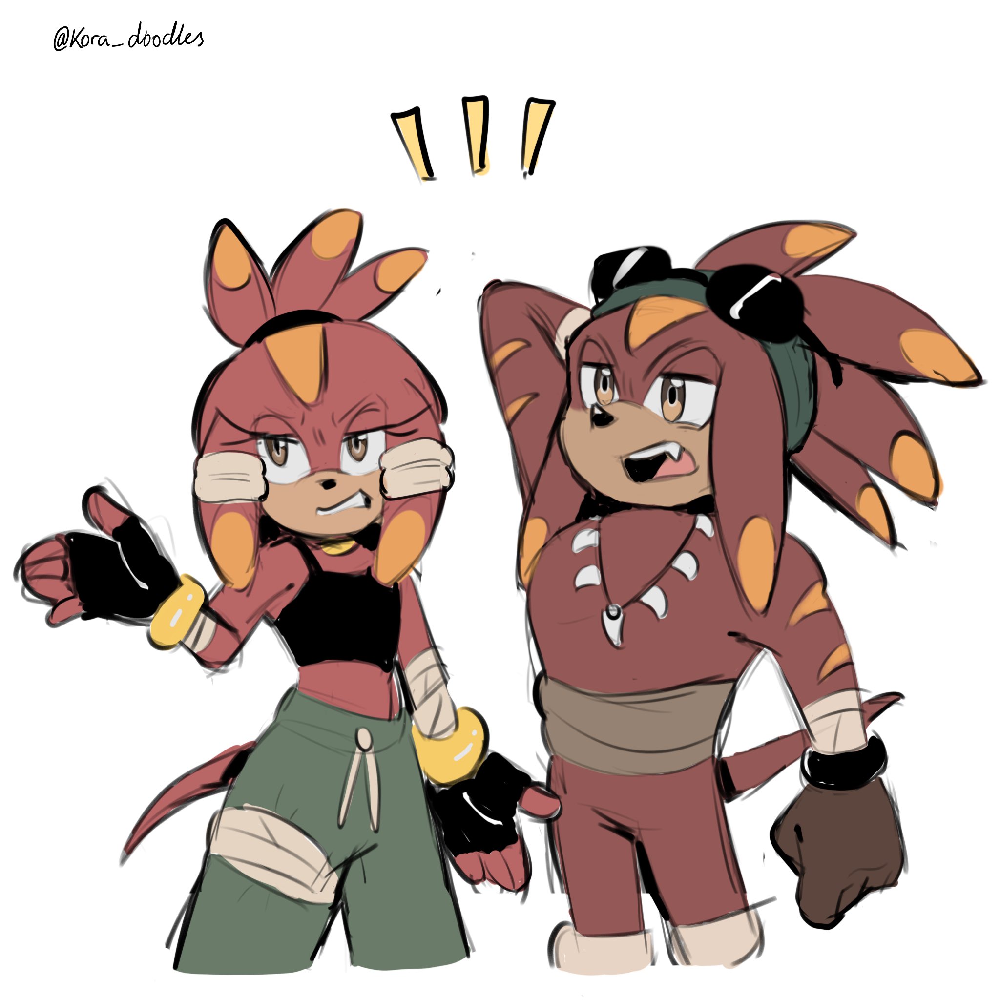 Sonic Echidna Oc