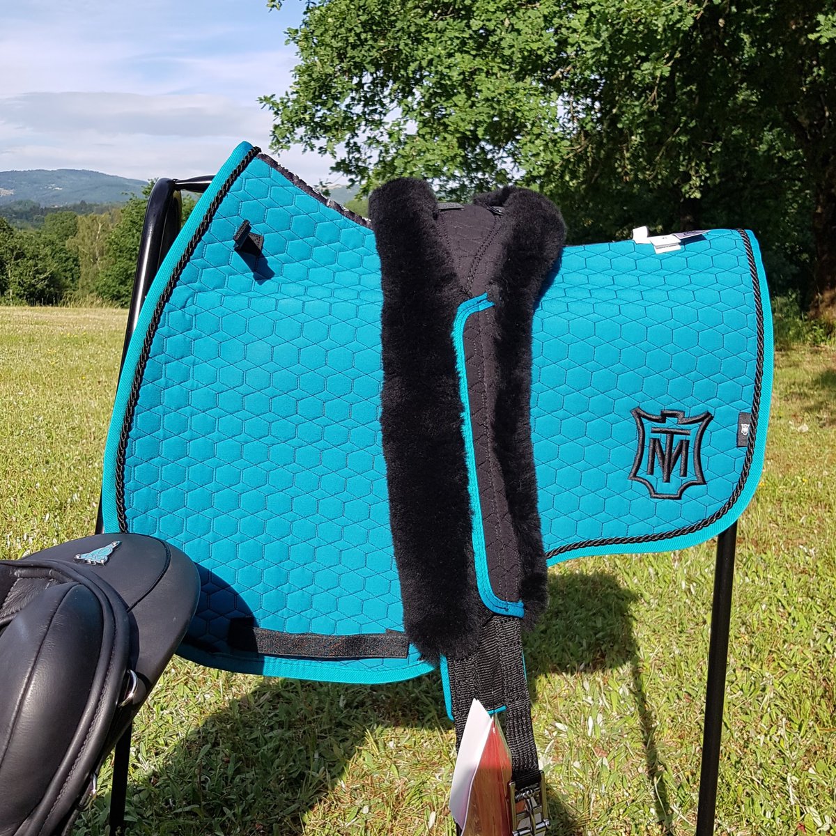 Saddle Fitting Auvergne (@SaddleFitting63) / Posts / X
