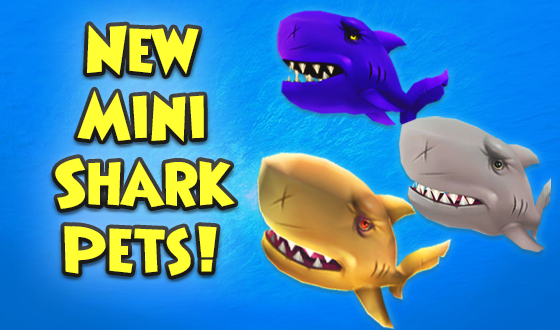 Pet Mini Shark