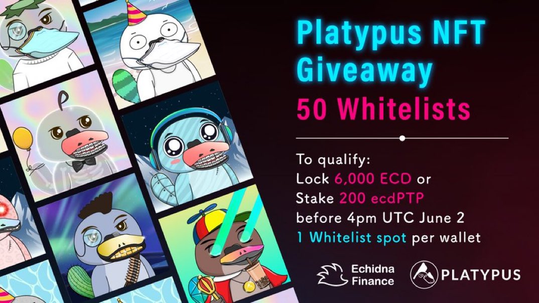 Echidna TR 🇹🇷 on Twitter: "🎉Platypus #NFT WL Hediyesi🍻 @platypusdefi'deki dostlarımız ...