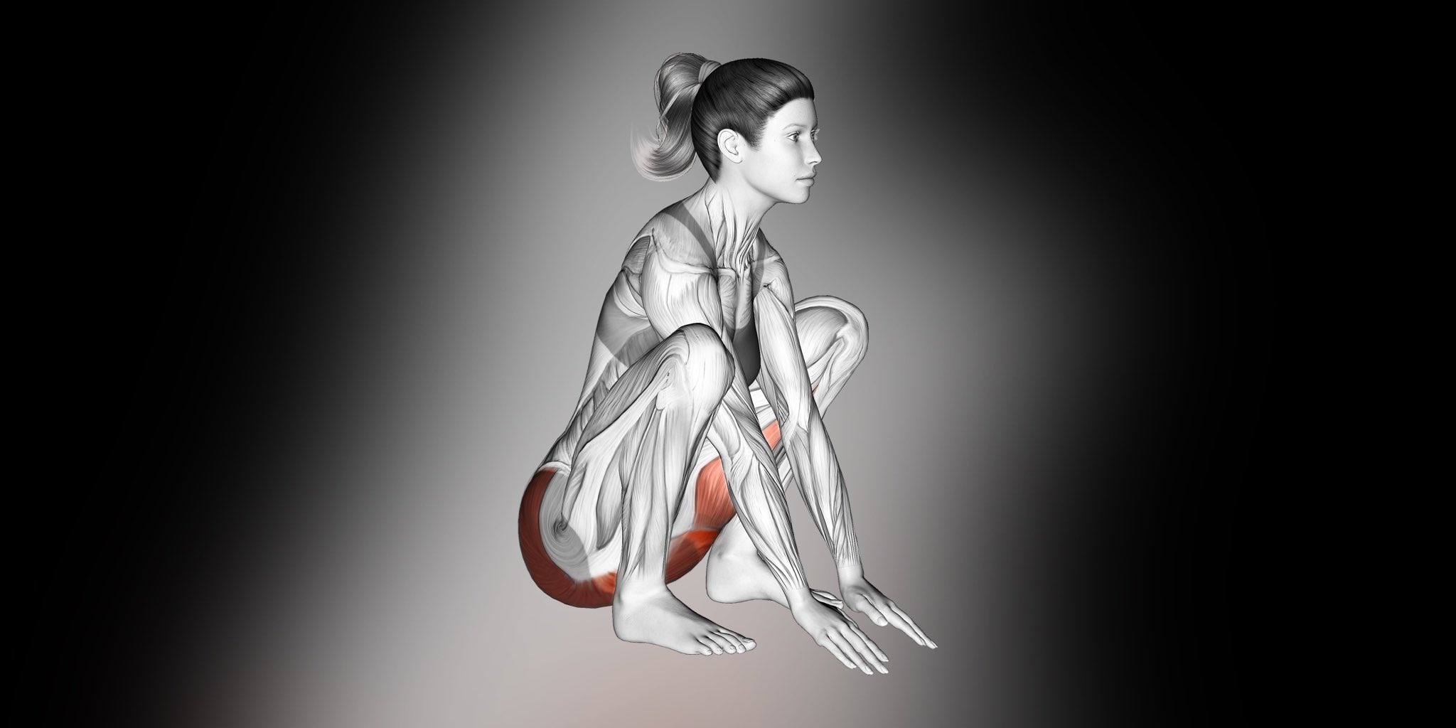 Alex Bernier on Twitter: "Bodies fall apart when they lack the strength and mobility to hold a ...