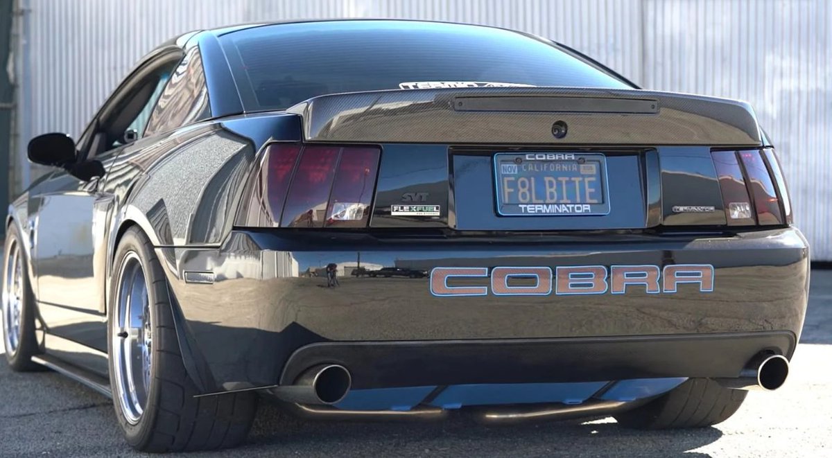 Mustang 2022 Cobra Terminator