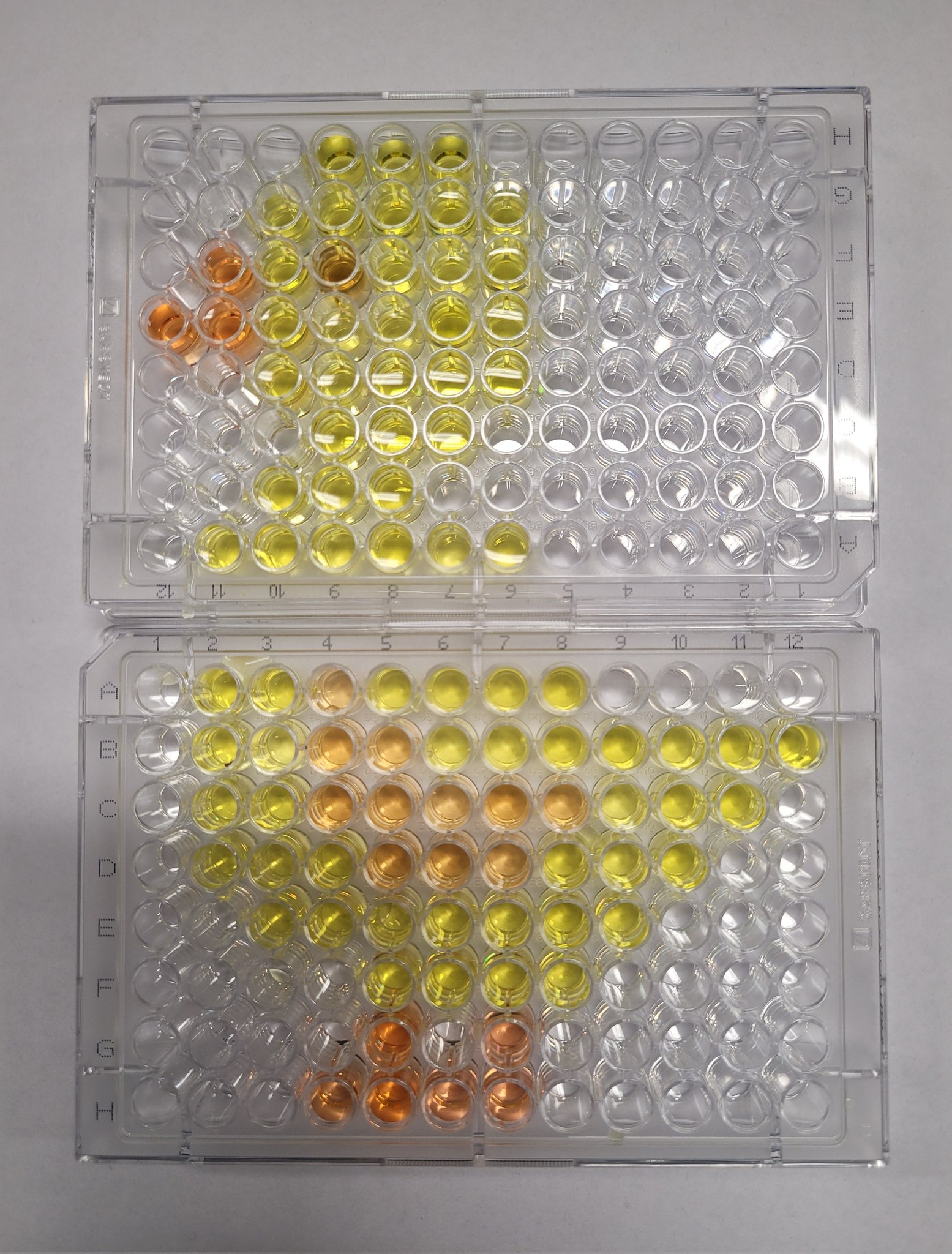 Elisa Plate Yellow