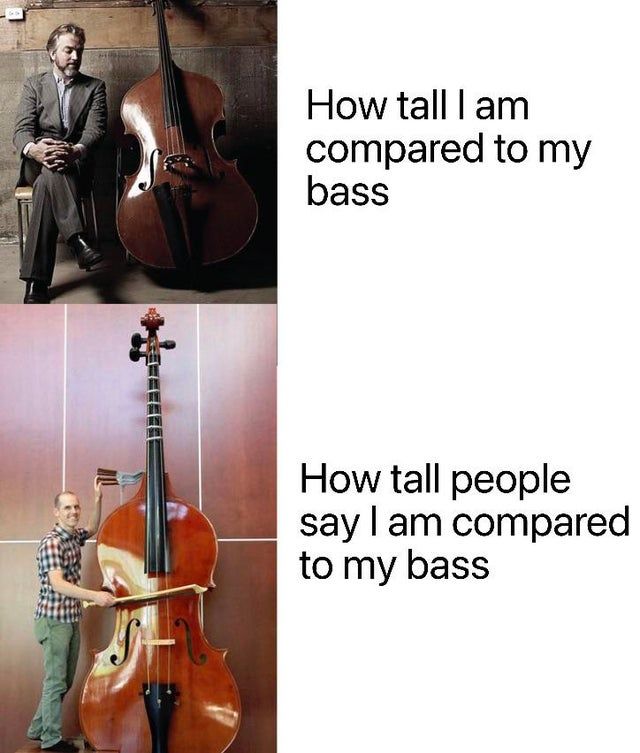 Musical Instrument Memes
