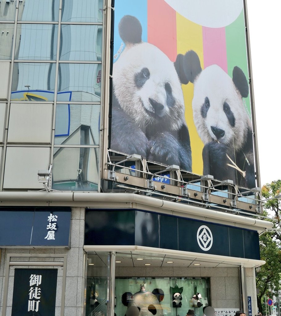 中川美帆 Miho Nakagawa on Twitter: "@kiironoxiang 垂れ幕の下もパンダフルでした！🐼 2022.6.1撮影 https://t.co ...