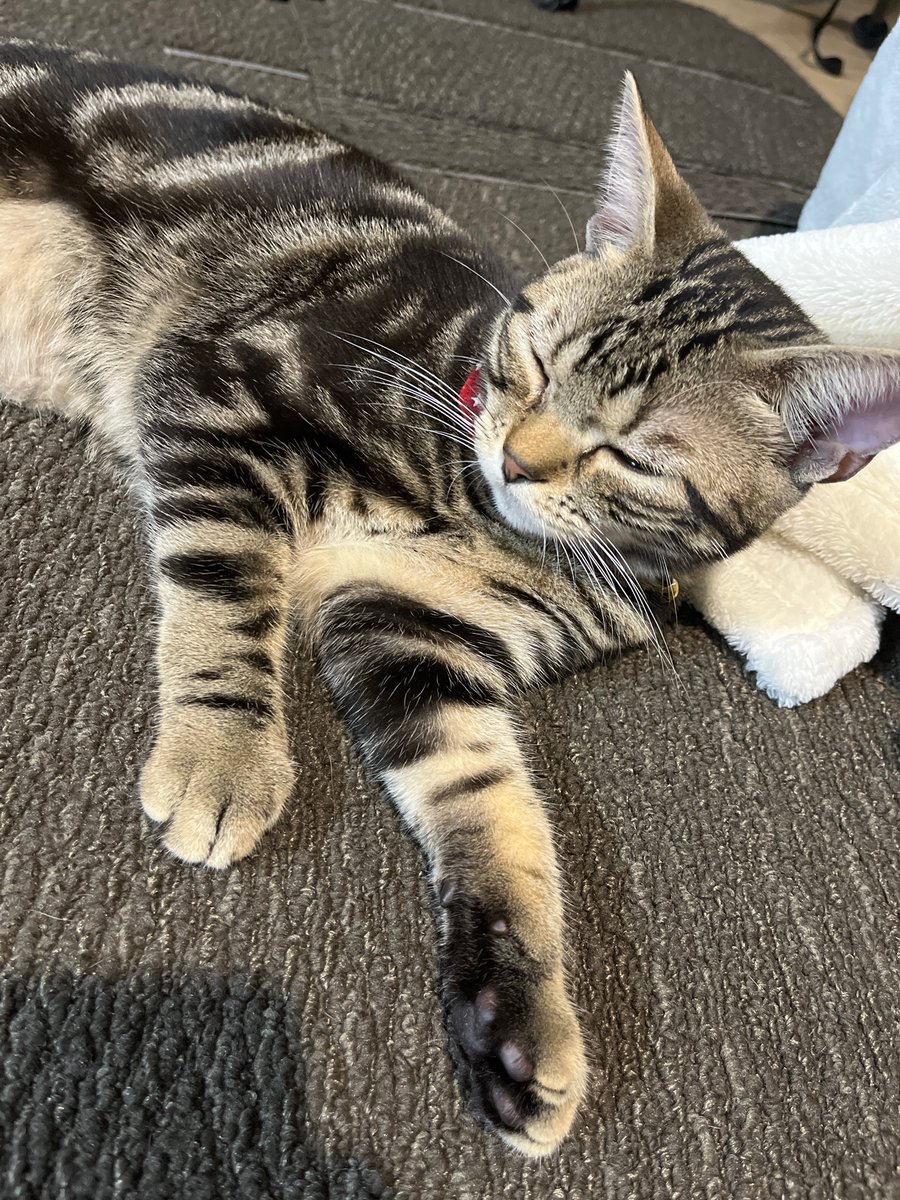 Takito Morita(@takito51) - Twilog