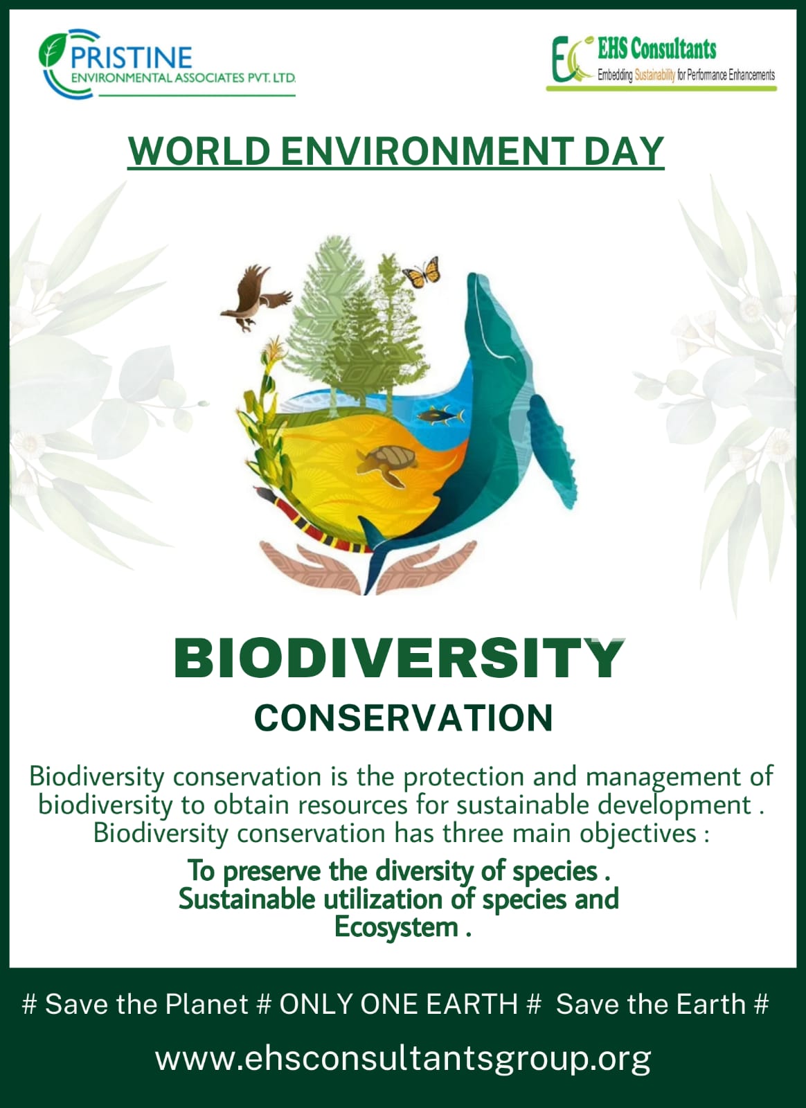 Conservation Of Biodiversity Poster