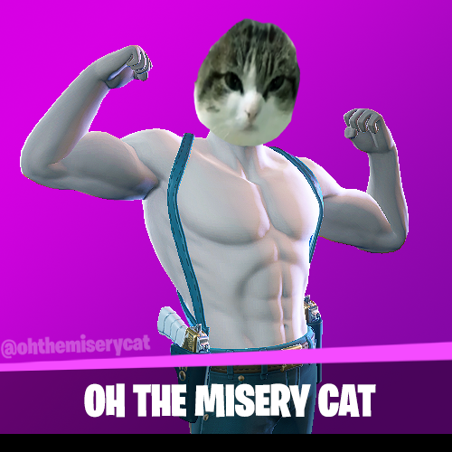 Misery Cat Meme