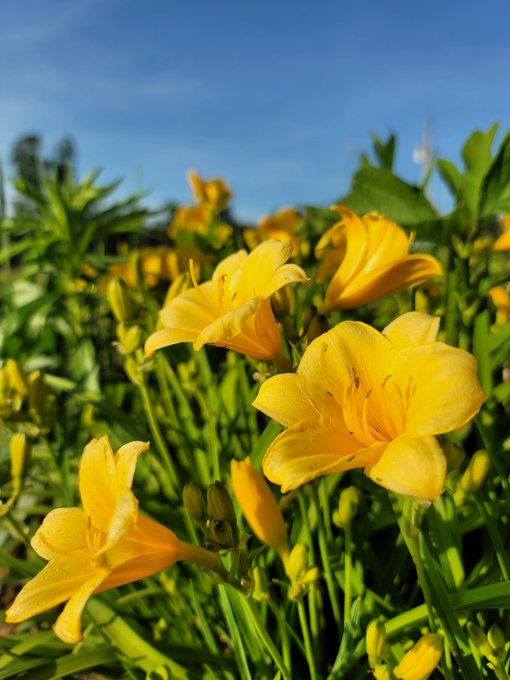 TW Pornstars - Lex Vive. The most retweeted pictures and videos for all ...