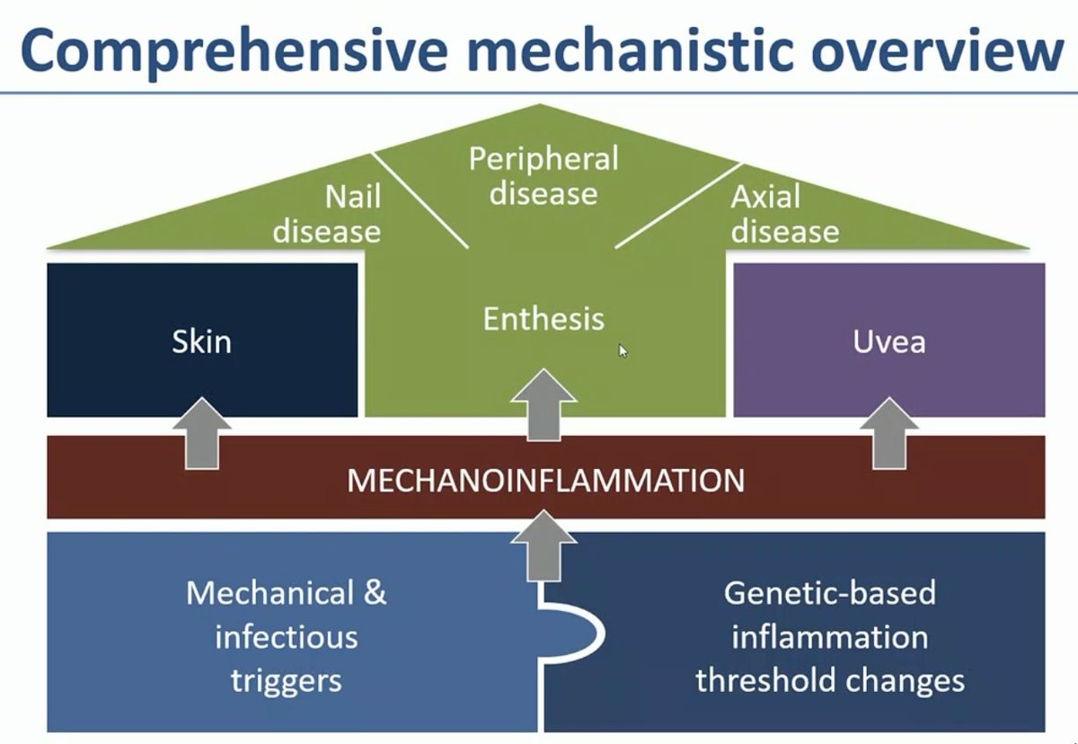 #EULAR2022 Pathogenesis of PsA PsO has similarities to Leprosy ...