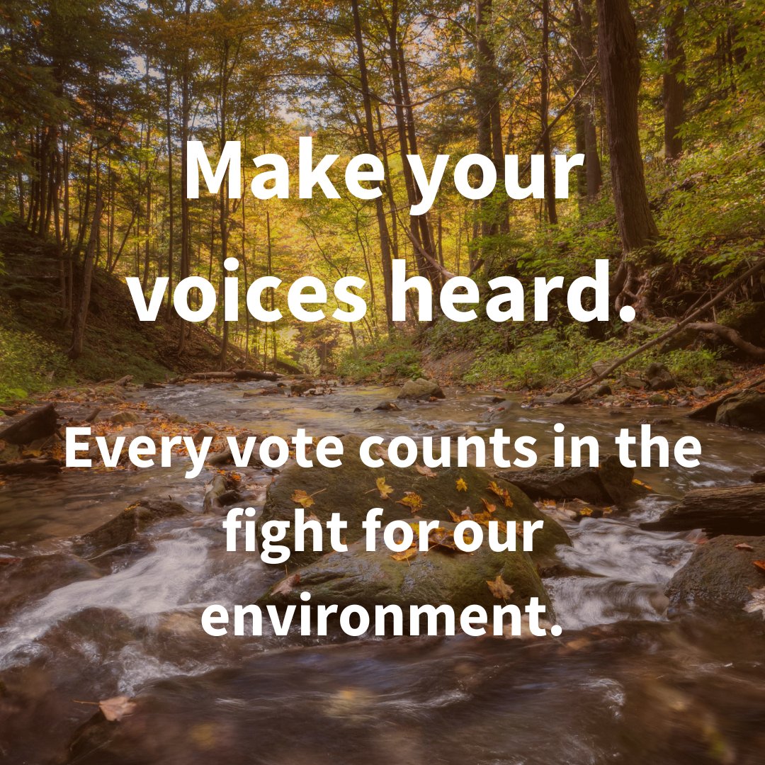 Your Vote Counts Quotes