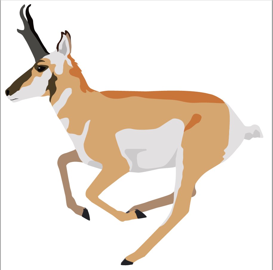 Pronghorn Clipart