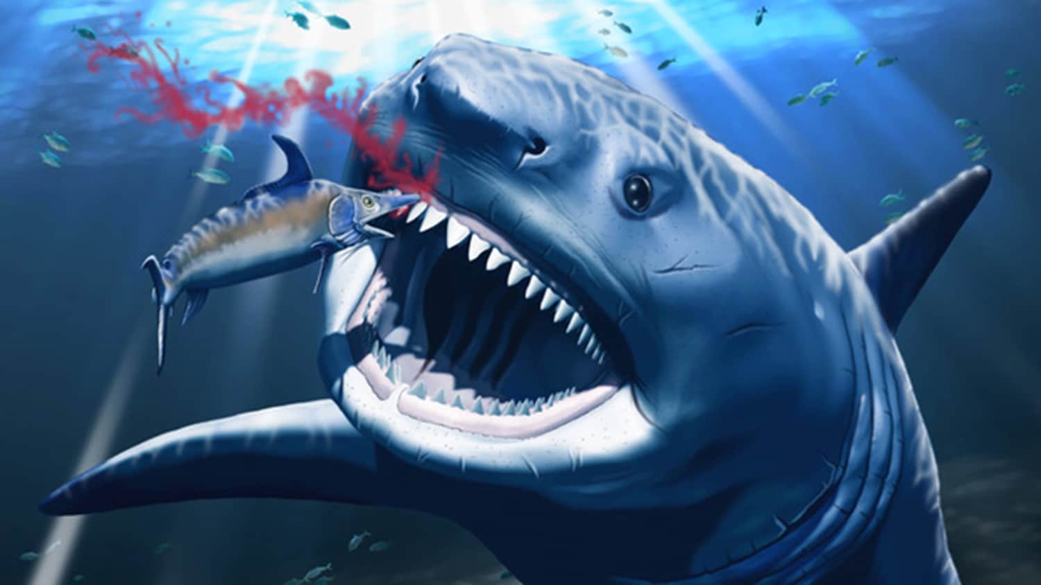 Deformed Shark