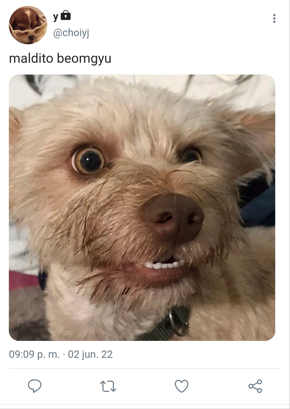 yeongyu au 📌 on Twitter: "30 https://t.co/aW9wBEkPG8" / Twitter