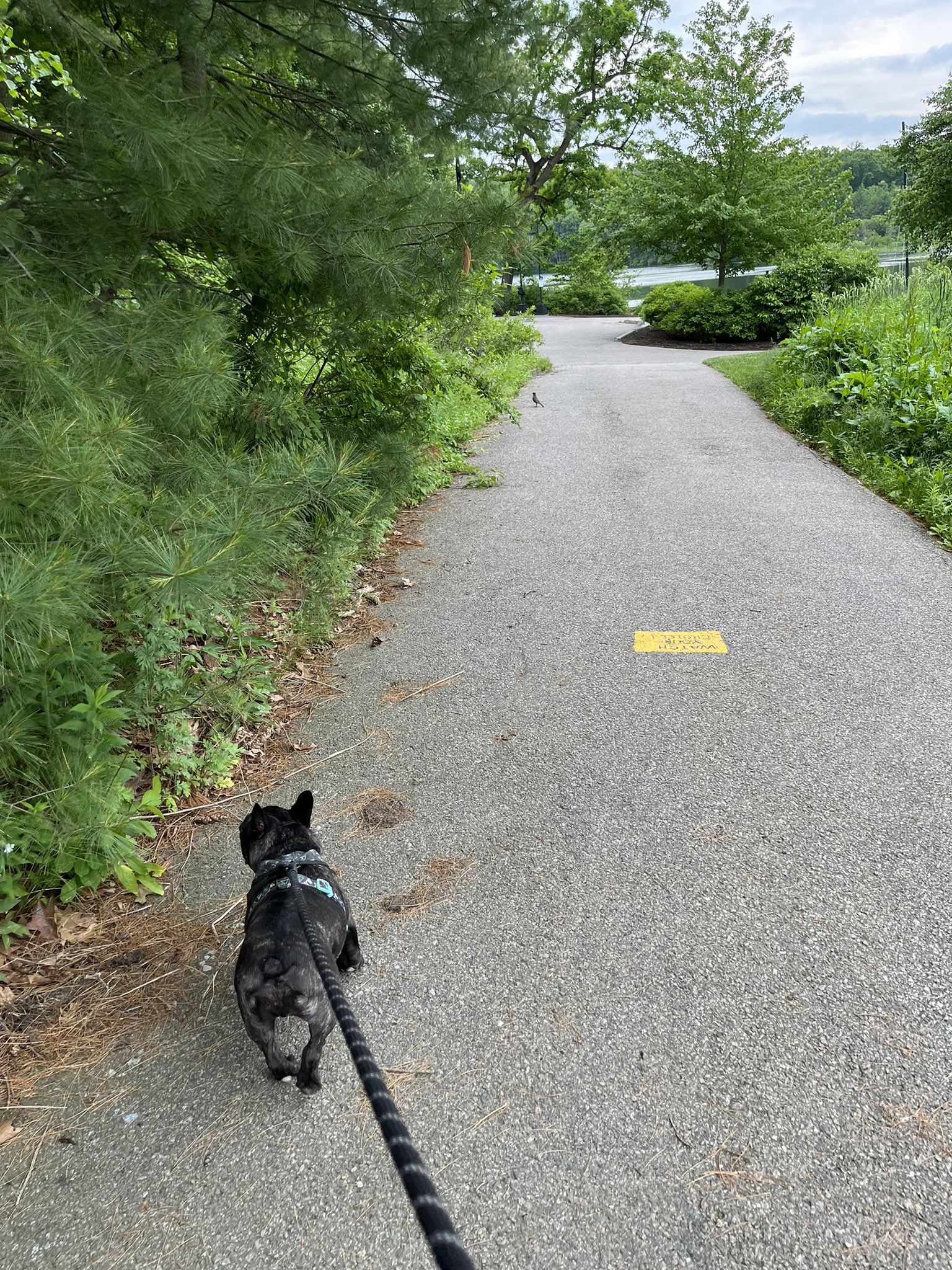 Sam Tackeff 👋 on Twitter: "Good Things, Today: - a little forced downtime and rest - a long walk ...