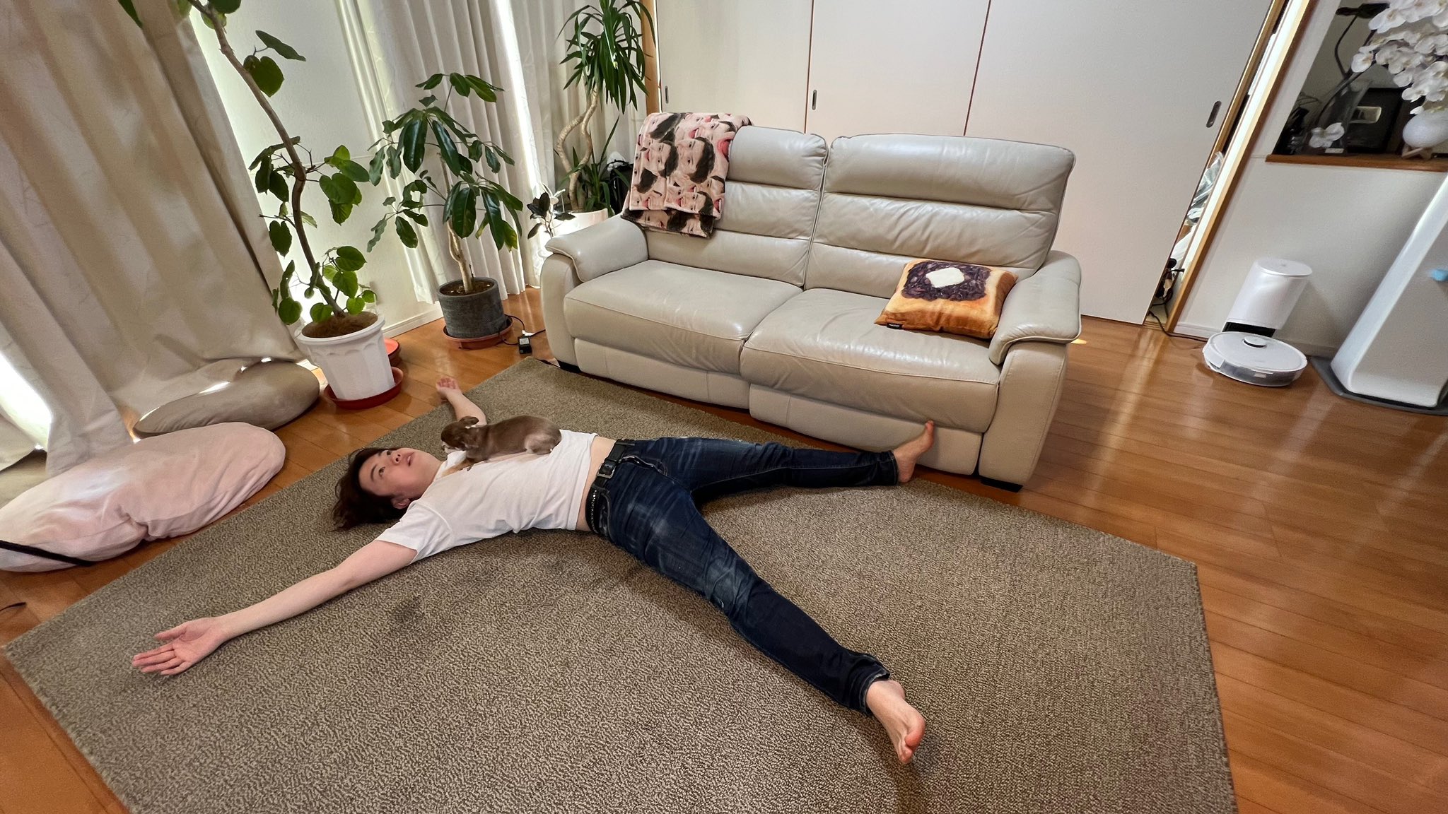 MasuoTV（マスオ） (@masuotv) / Twitter