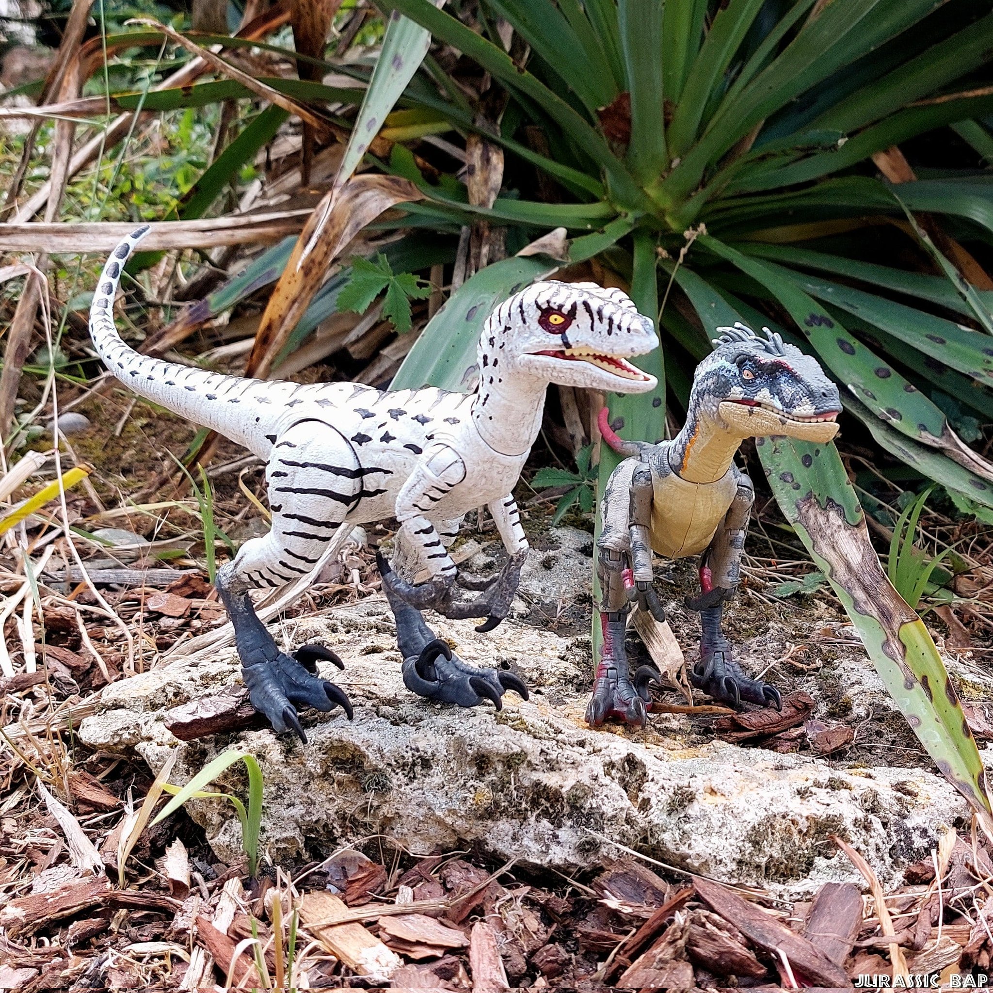 Jurassic Park 3 Velociraptor Female