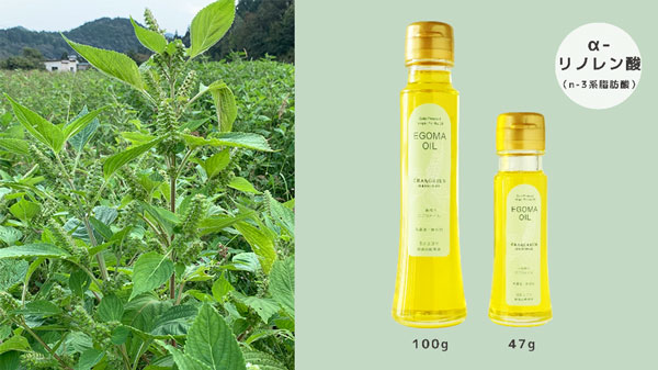 JAcom農業協同組合新聞 on Twitter: "スマート農機活用で"エゴマ"の機械化一貫体系を確立「やまがたエゴマ協議会」設立｜JAcom 農業協同組合新聞 https://t.co ...