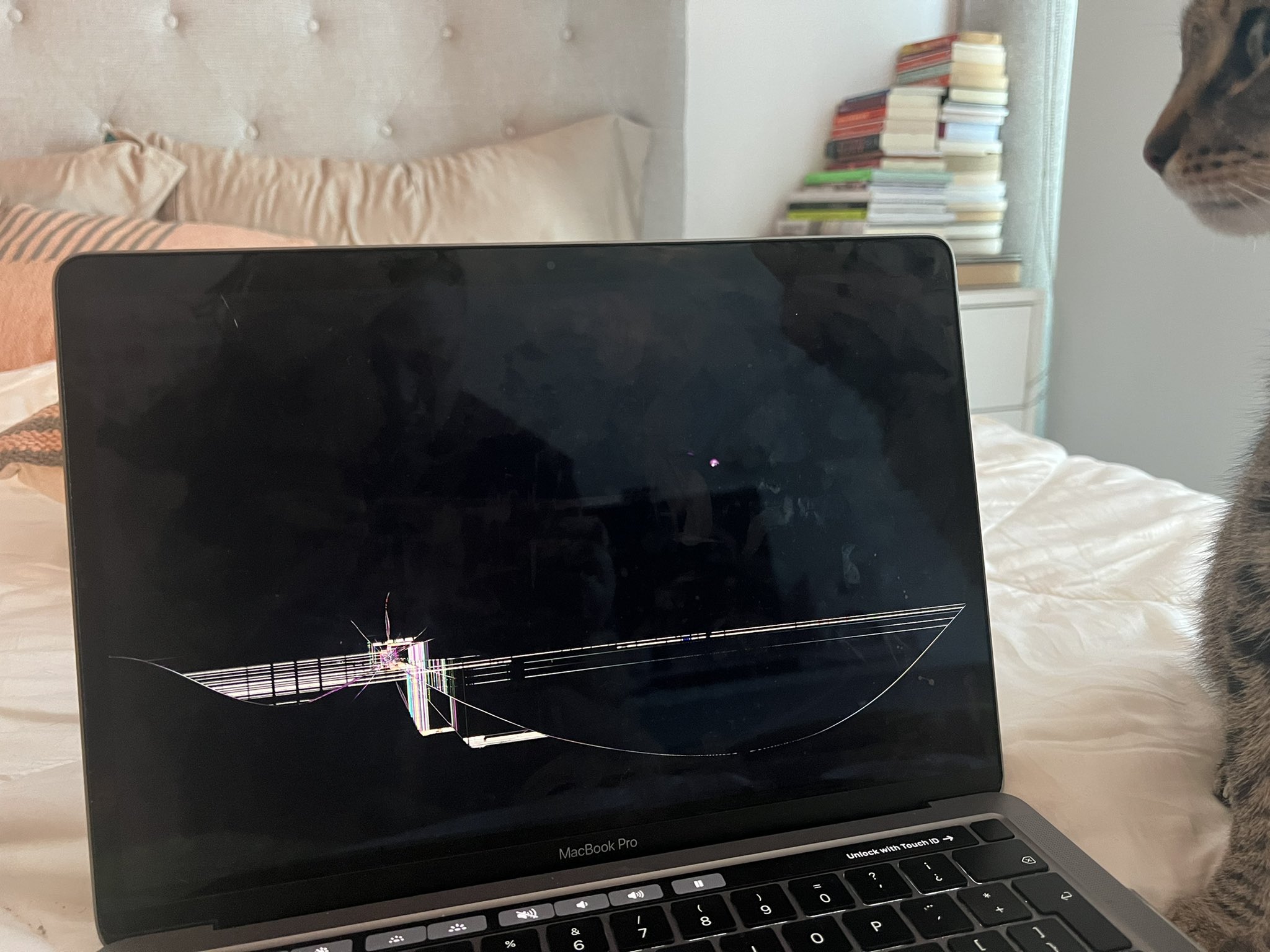 ix shells.eth (•.•) on Twitter: "The art is beautiful https://t.co/j5iTAXnOBR" / Twitter