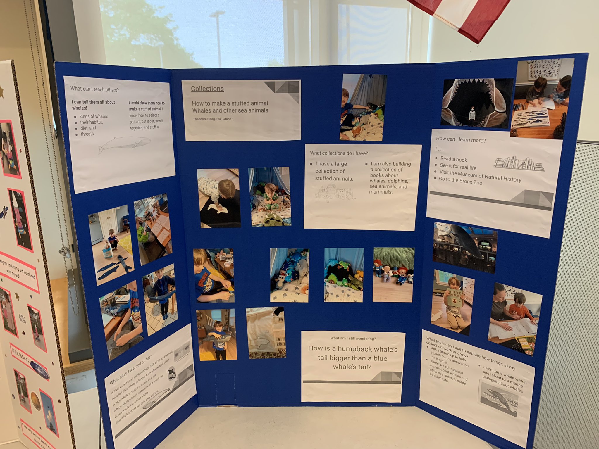 Tri Fold Poster Board Project Ideas