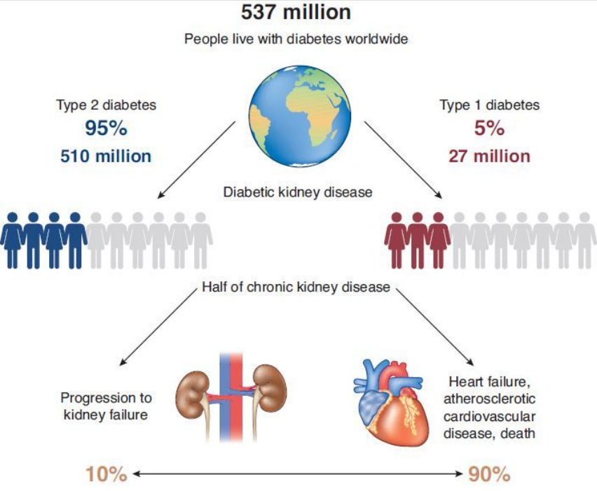 Diabetic Kidney Disease