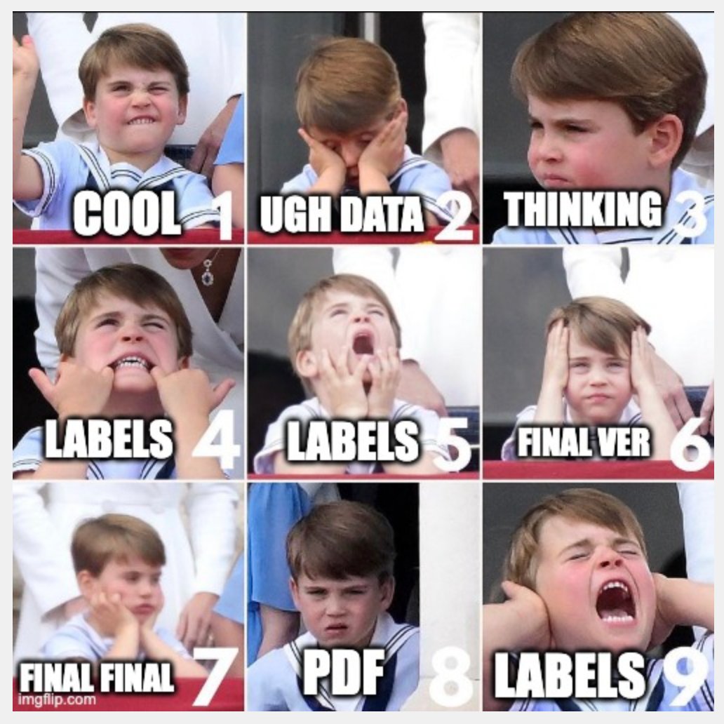 Success Baby Meme Finals