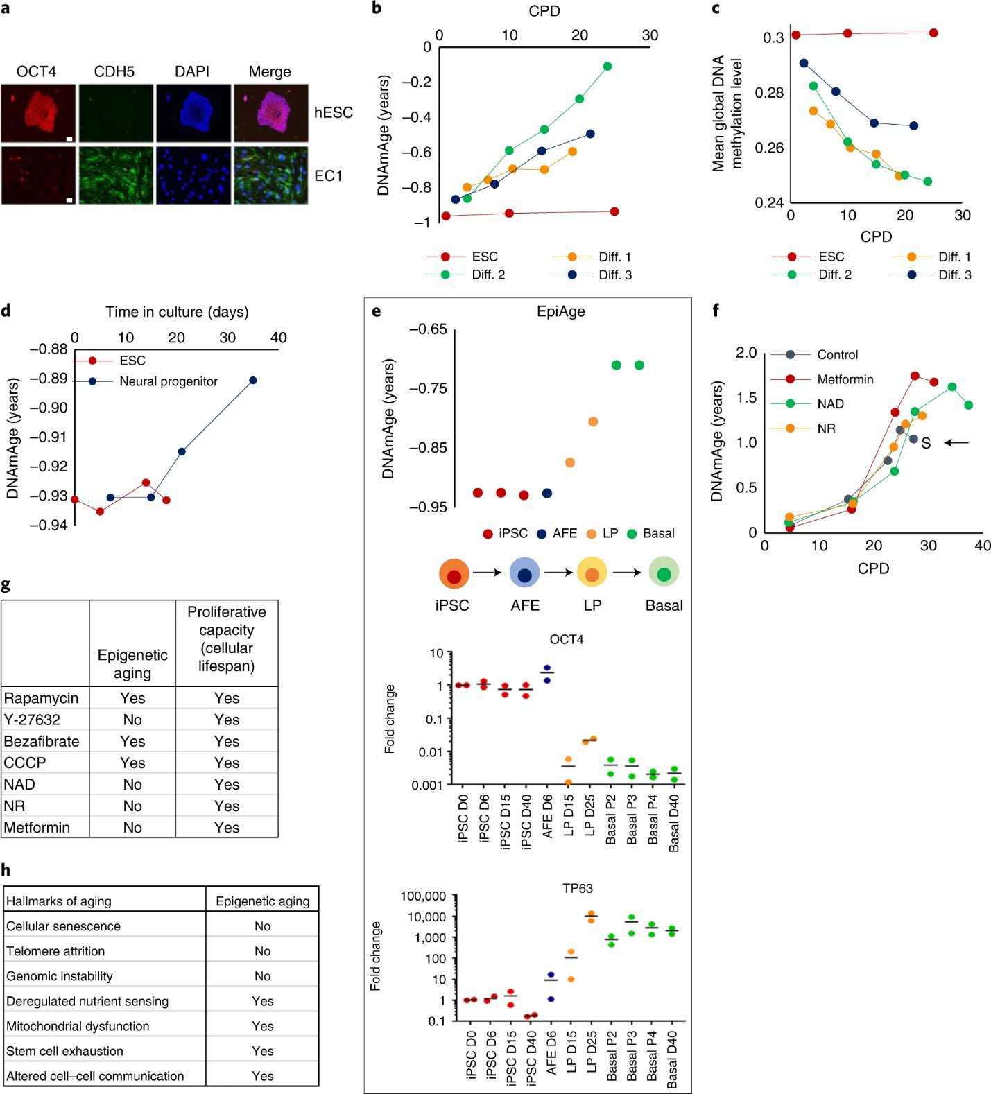 Agingdoc1⭐MD, PhD on Twitter: "The relationship between epigenetic age and the hallmarks of ...