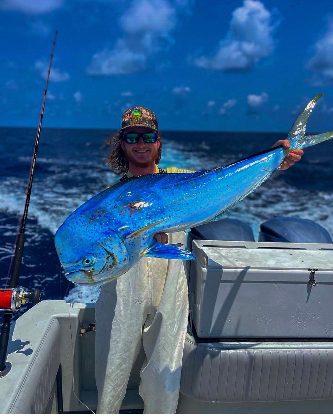 Blue Mahi Mahi