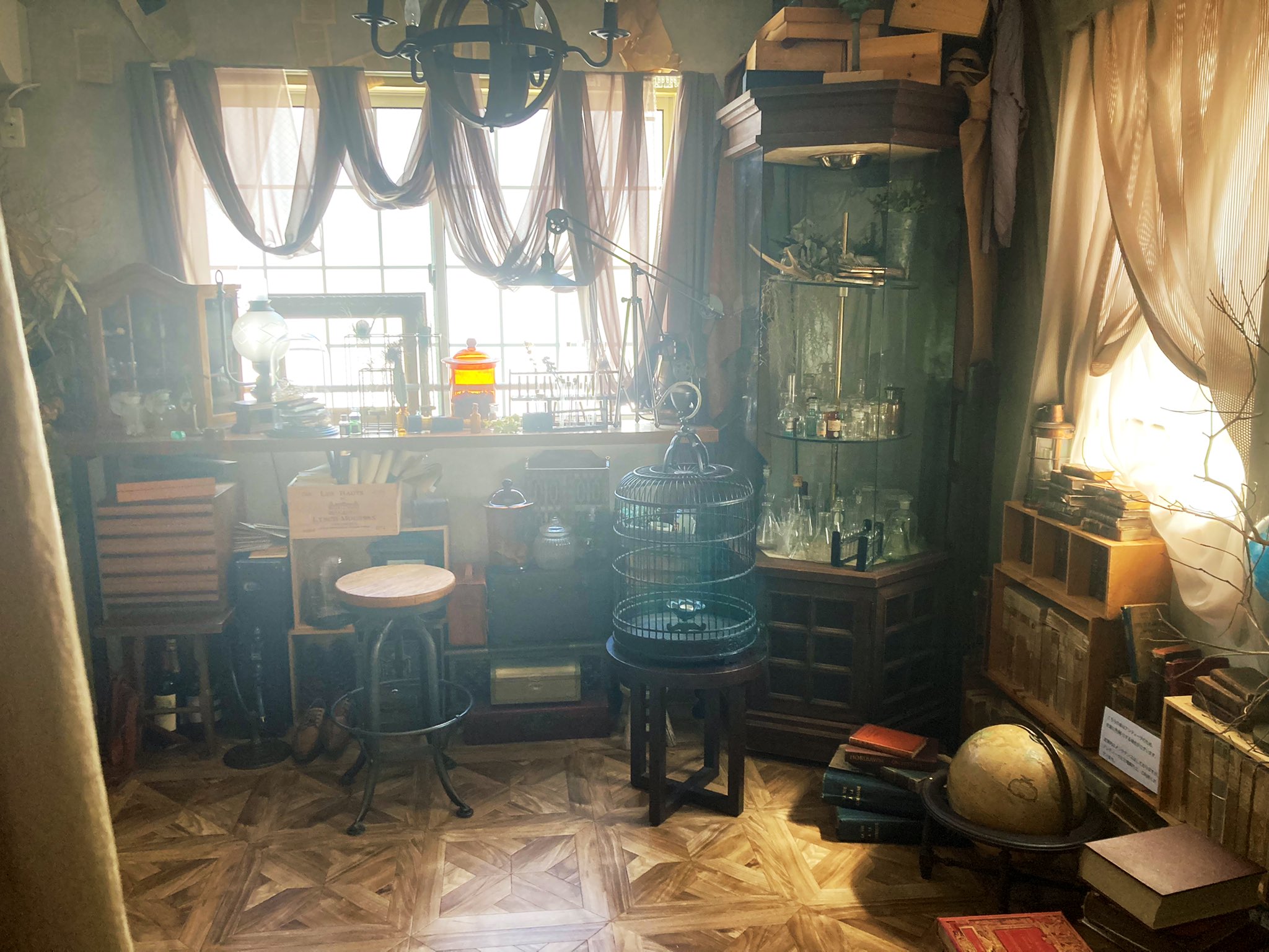 studio pixie! kokon /スタジオピクシーココン on Twitter: "今日のココン☀️ 1号店room2 魔法使いの書斎 ずいぶんと初夏らしい光になりました https ...