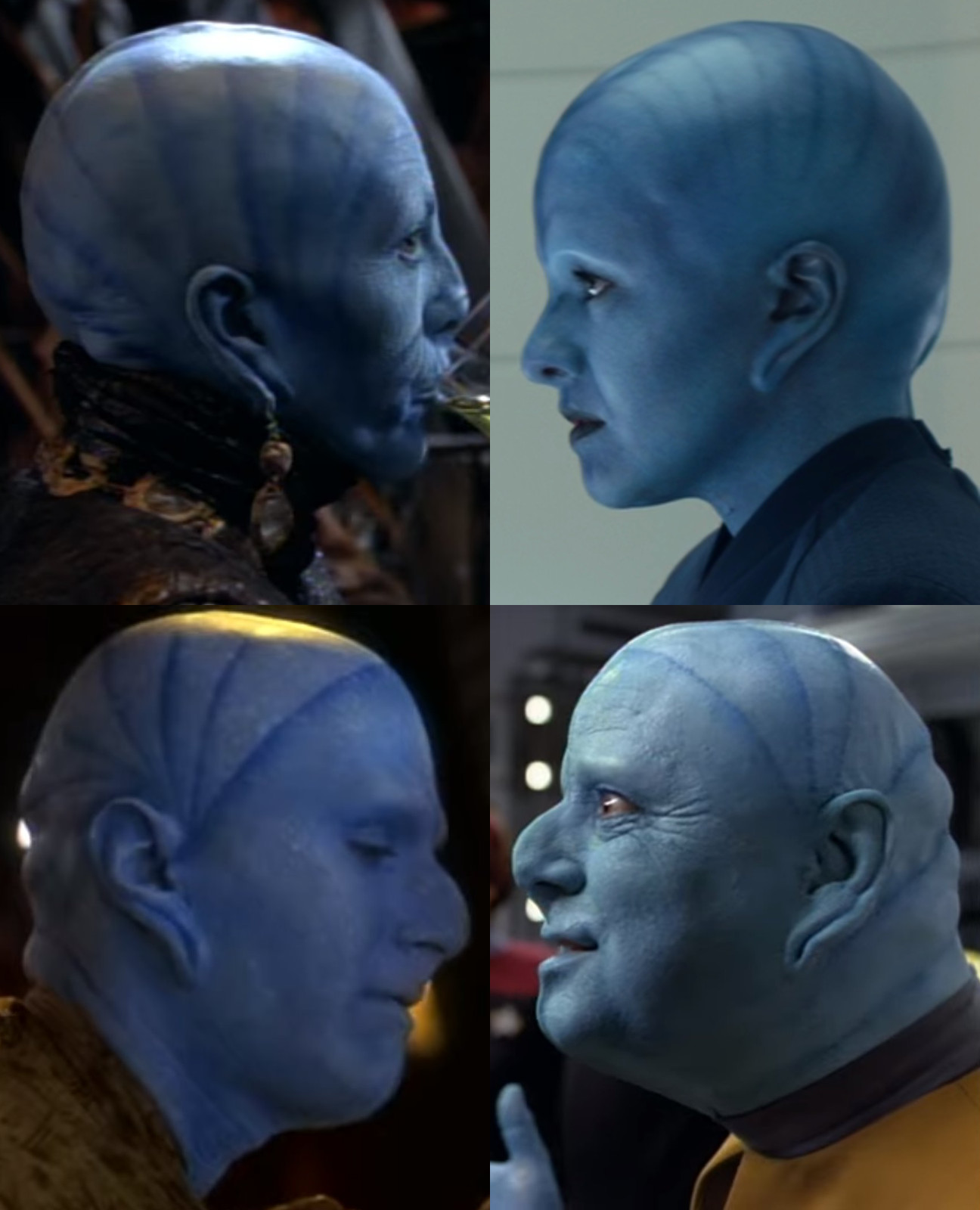 Star Trek Species Bolian