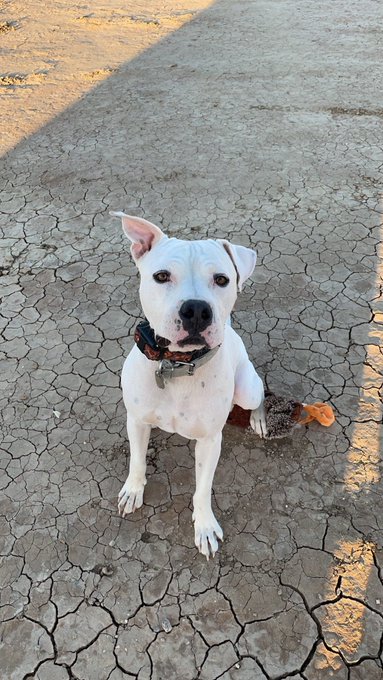 TW Pornstars - EMILY SEDONA . Pictures and videos from Twitter. Page 3