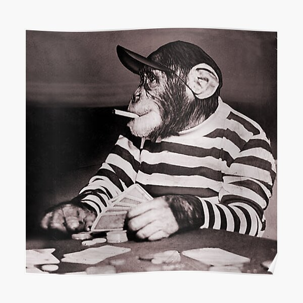 Best Monkey Poker Avatars