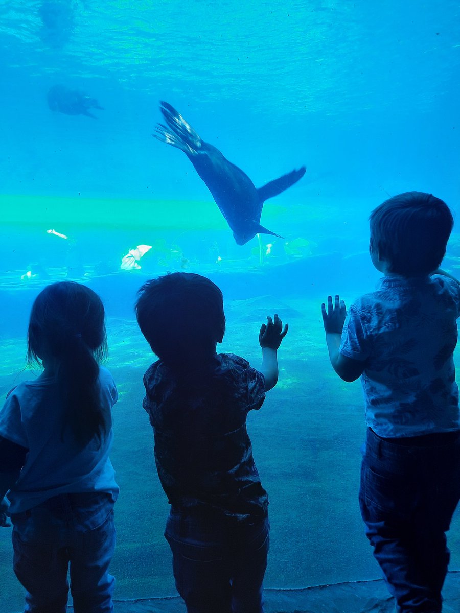 Thames View Infants | Nursery Homework