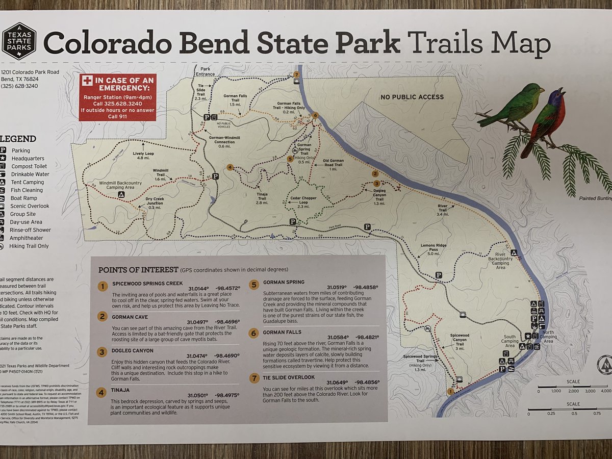 Are Dogs Allowed In Colorado Bend State Park