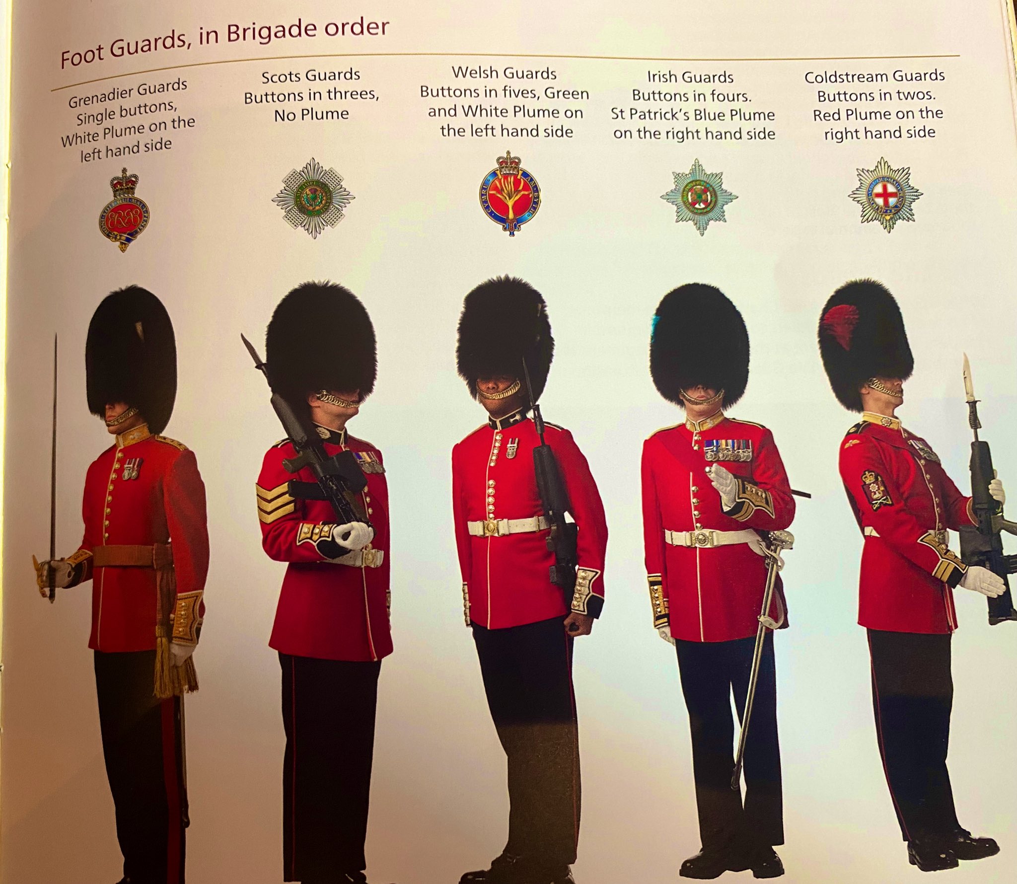 WI The Imperial Regiment of Foot guards | alternatehistory.com